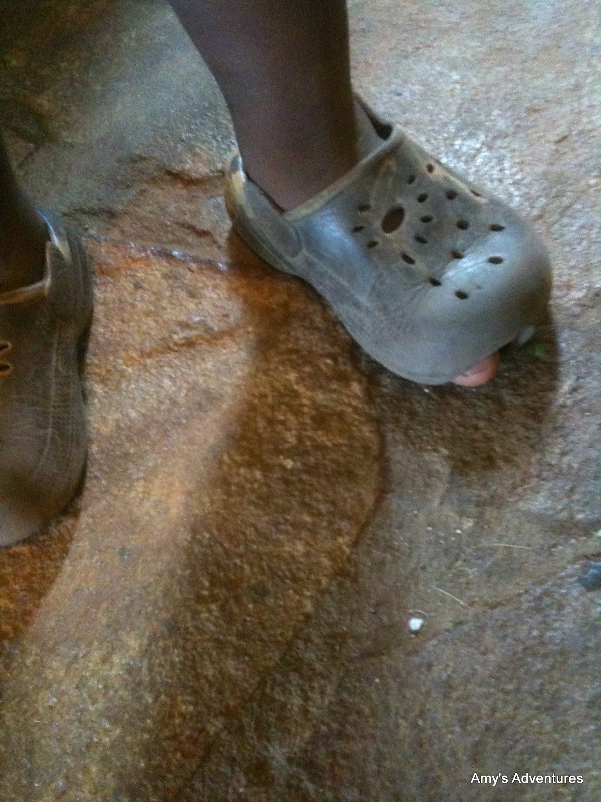 Amy's Assorted Adventures: December 2012