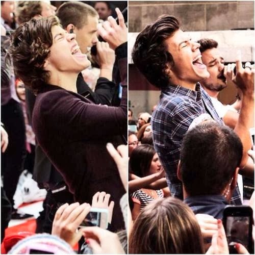 Beliebers, Directioners, e Mahomies