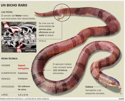 Escenarios prehistóricos: Najash