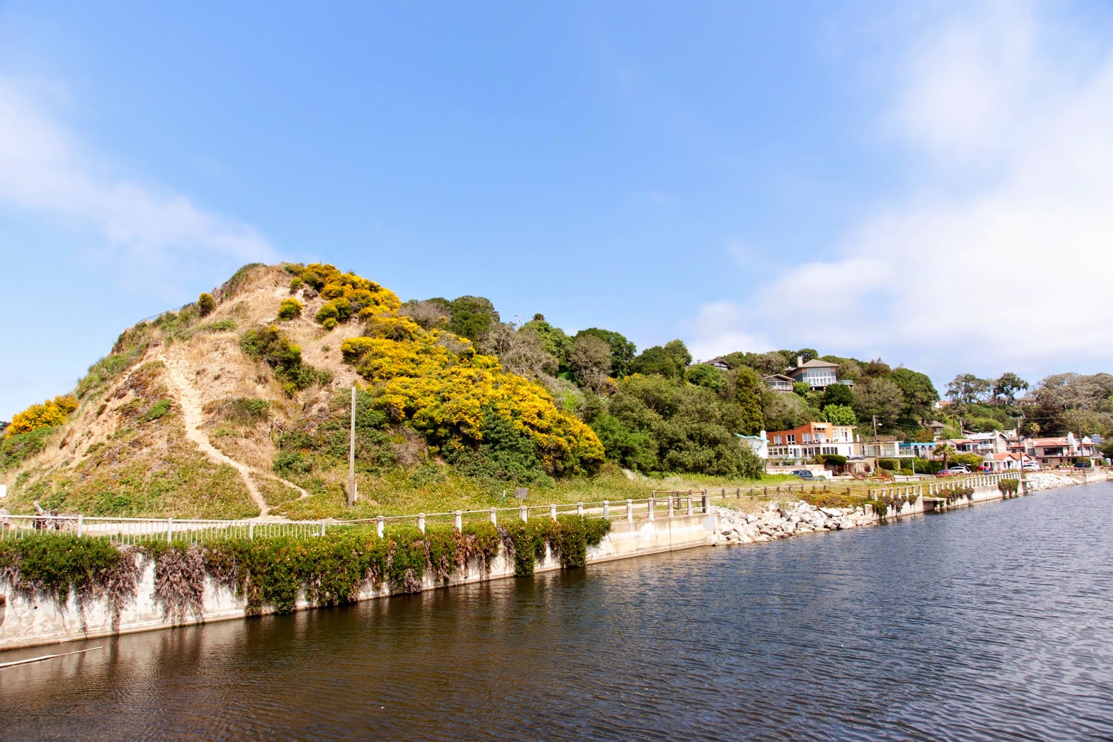Santa Cruz 近郊のビーチ ～Rio del Mar