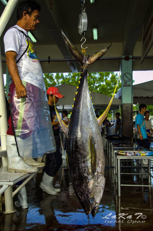 Gensan, Tuna Pride of the Philippines >>> Lakat
