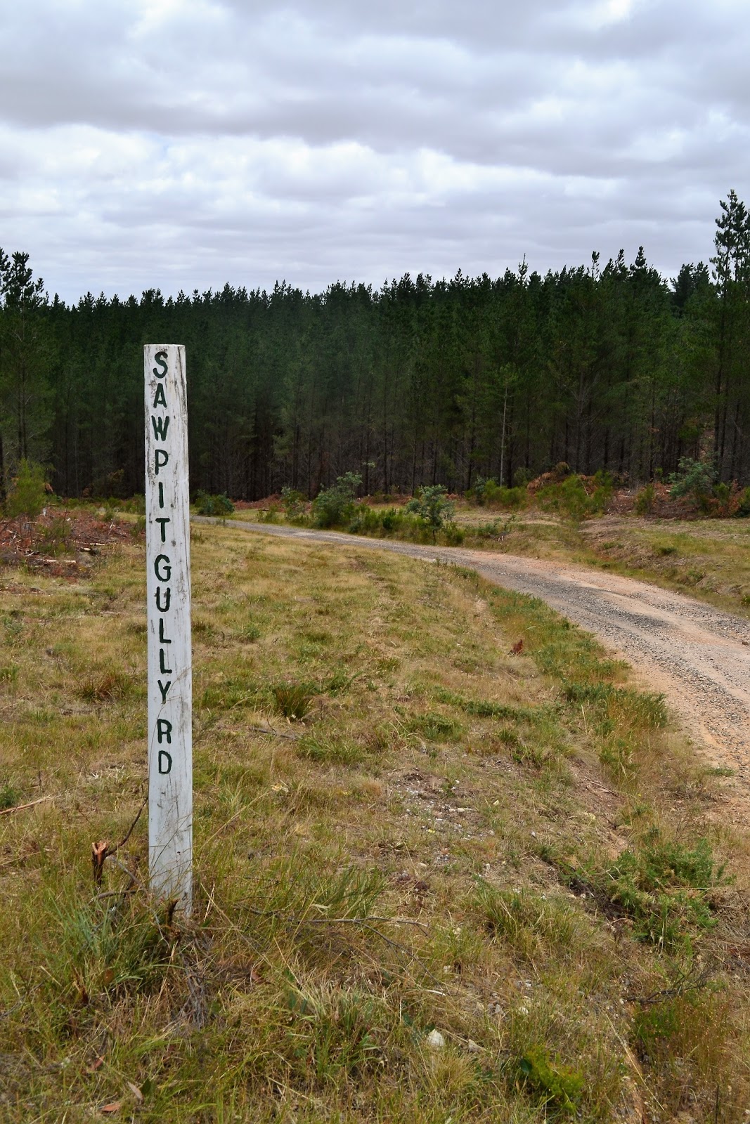 Goin' Feral One Day At A Time: Creswick Forest, Creswick Regional Park ...