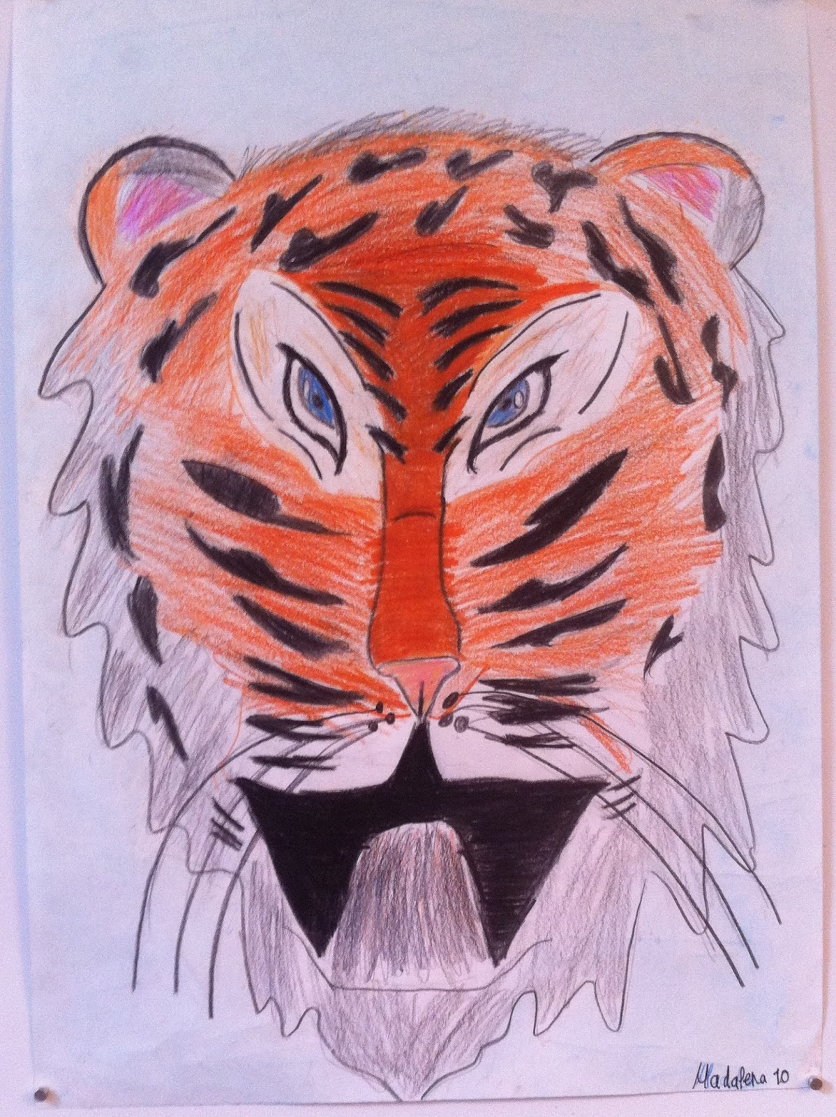 How To Draw A Tiger Head Step By Step