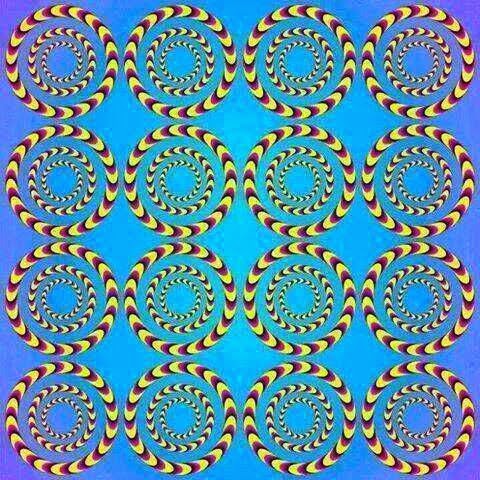 Moving Pictures Optical Illusions to Trick Your Brain