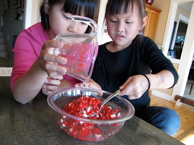 HOMESCHOOL NINJAS: Homemade Blood Model