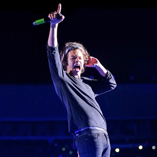 One Direction Girls ♥: Concierto en Santiago de Chile.-Where We Are ...