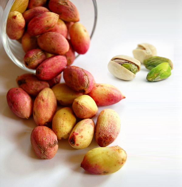 The latest dirt from my garden: Growing Your Own Pistachio Nuts ...
