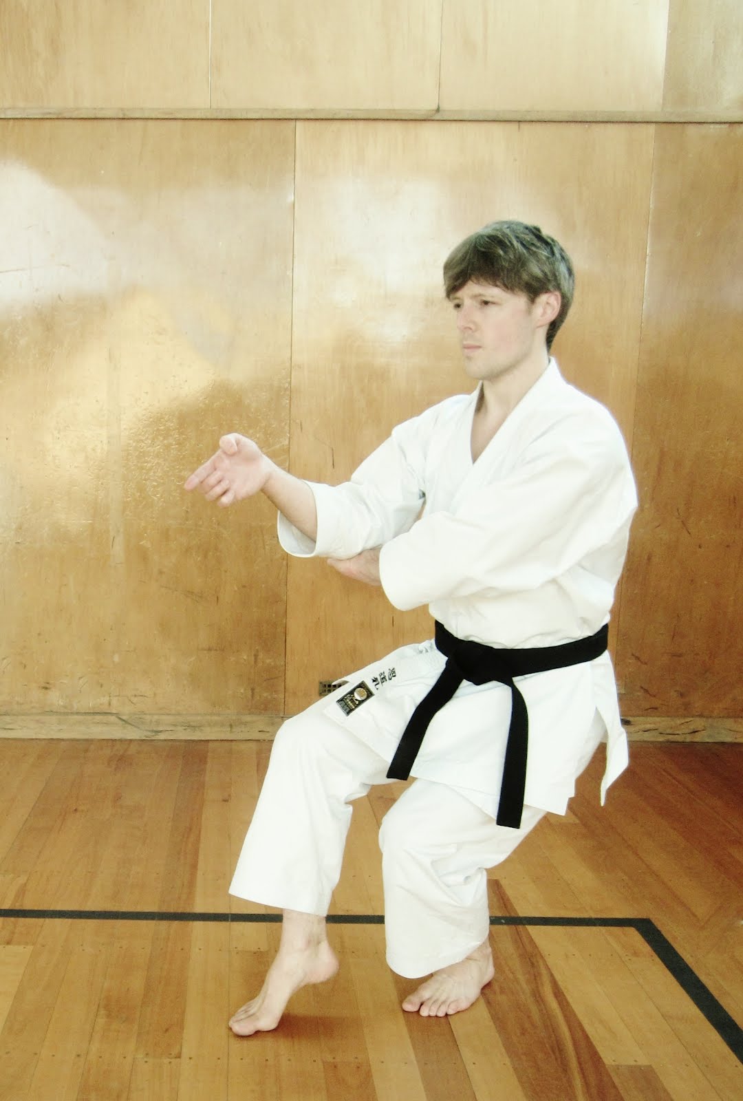 André Bertel's Karate-Do: Kihon is THE BENCHMARK