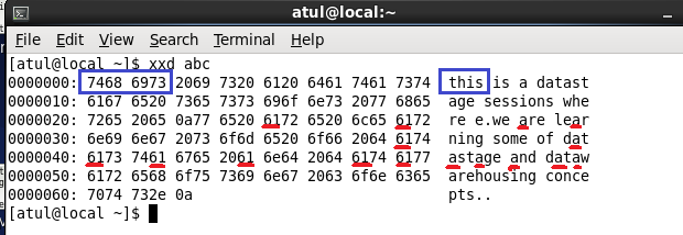 Nuts And Bolts Of Datastage Rescuer Xxd Command In Linux