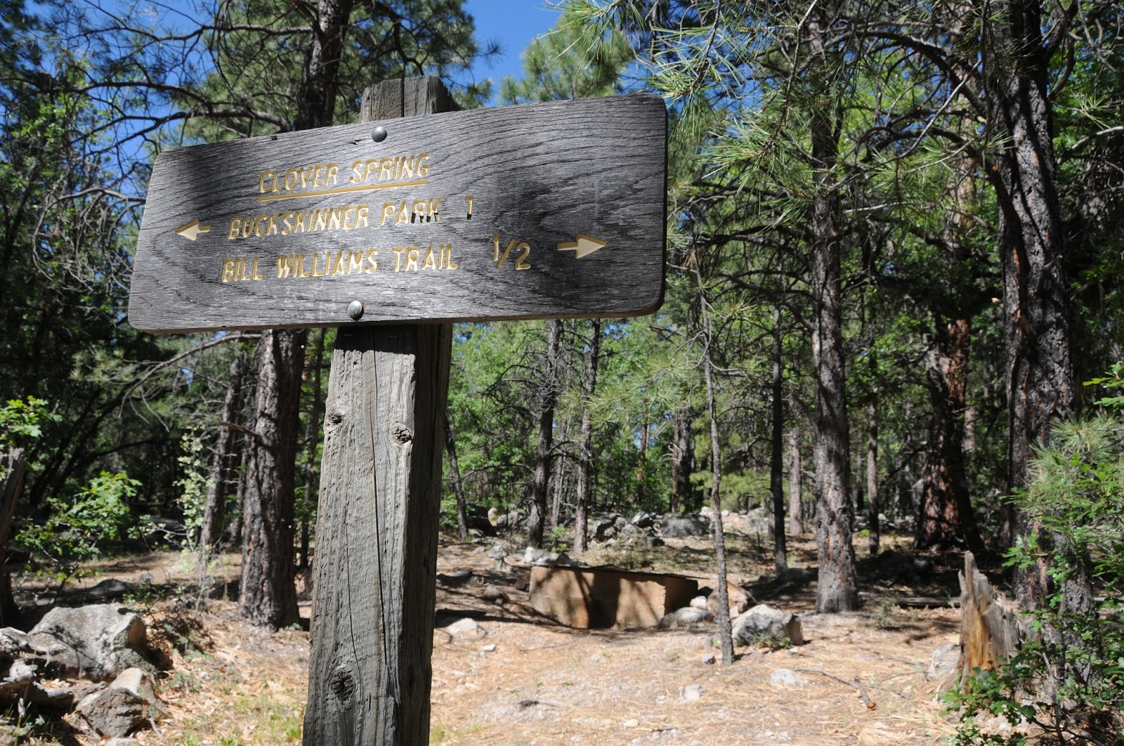 Arizona Hiking: CLOVER SPRING TRAIL # 46