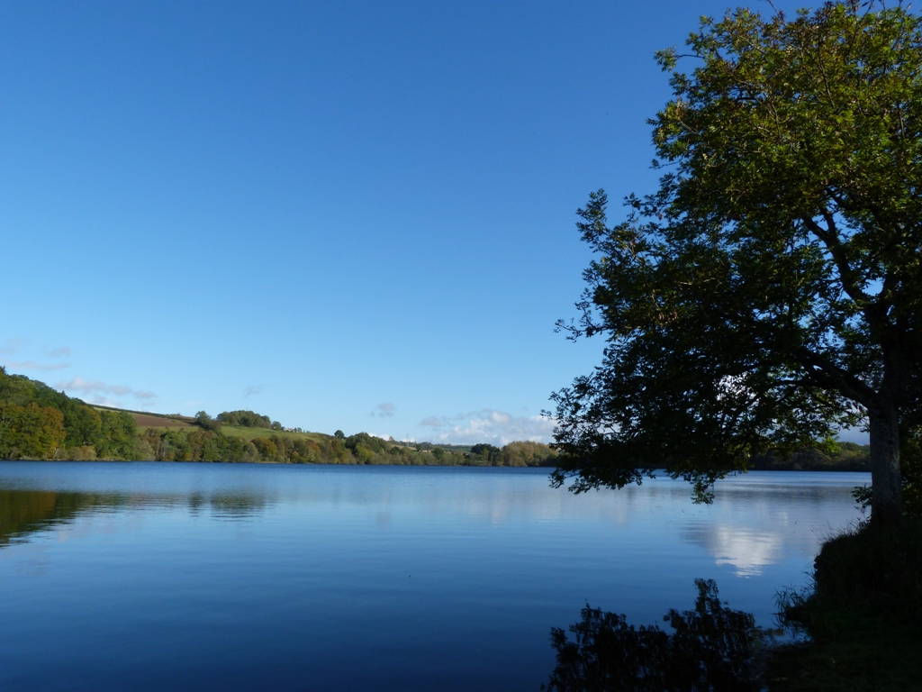 Memoirs of a Bed & Breakfast Owner: Loch of Clunie, Blairgowrie, Perthshire