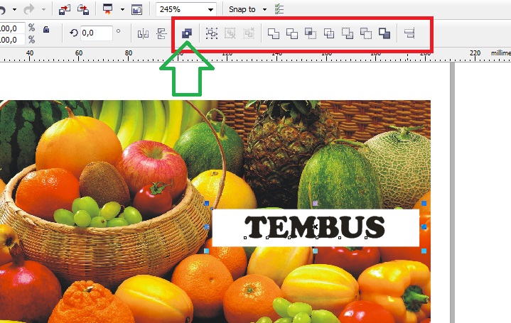Profesor Coreldraw, Photoshop, Adobe Illustrator: Belajar Corel Draw ...
