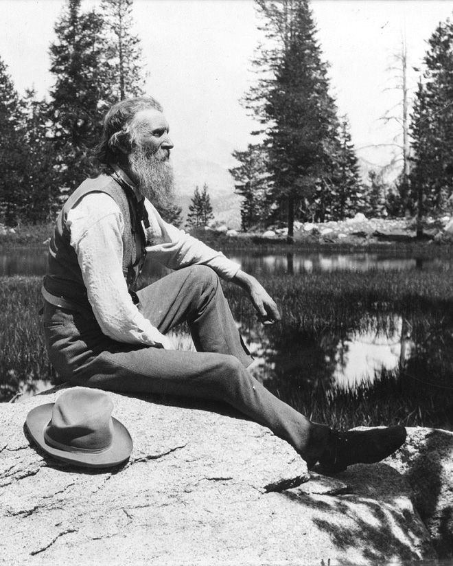 In the Company of Plants and Rocks: Re-reading John Muir
