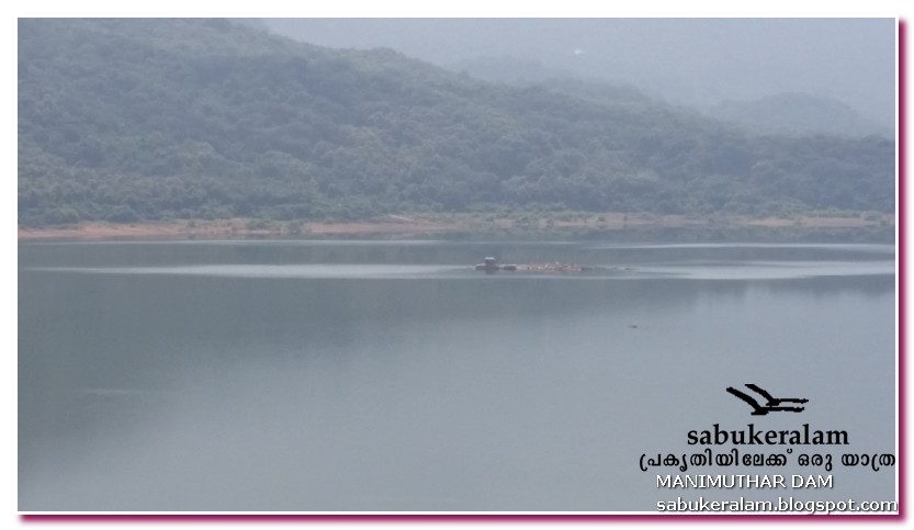പ്രകൃതിയിലേക്ക് ഒരു യാത്ര (a travel towards NATURE): MANIMUTHAR DAM VIEWS