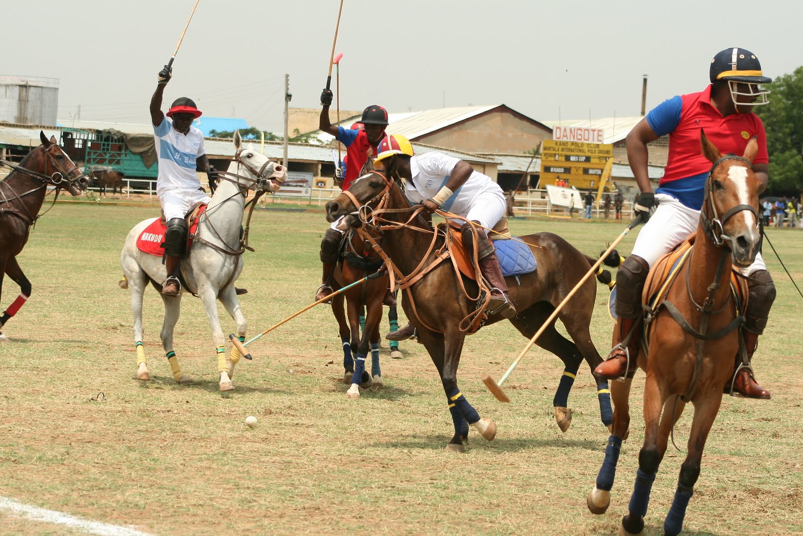 KANO POLO CLUB: Gallery