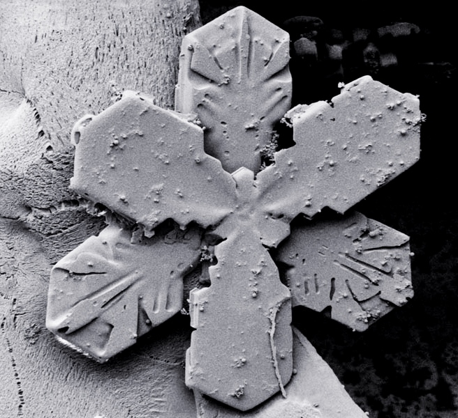 The Wonderful Microworld: Snowflakes - Electron microscope images.