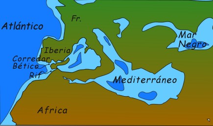 GEOGRAFÍA GENERAL: Principios Geográficos