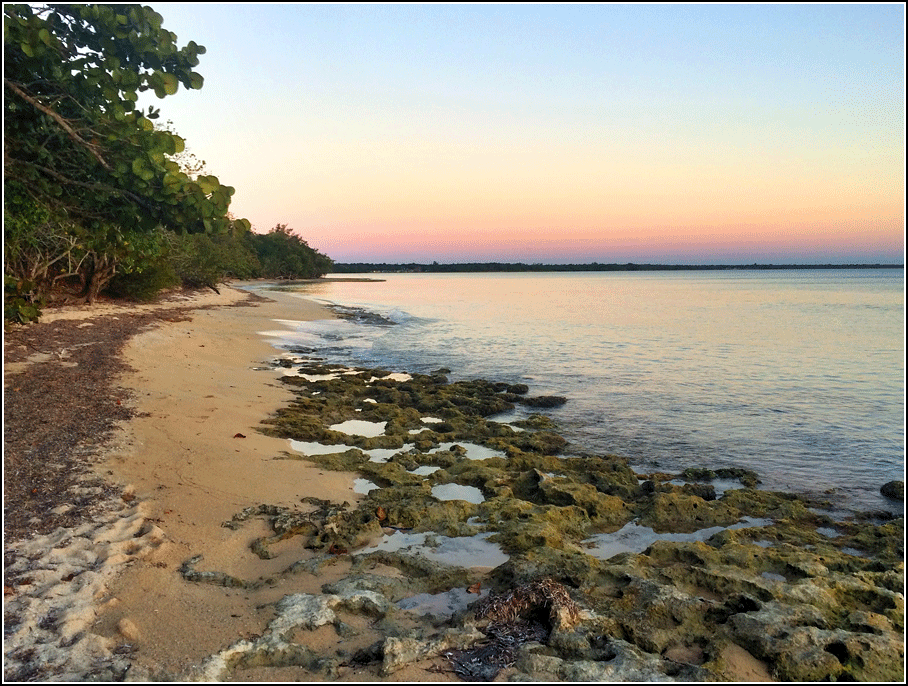 Explorations of an Ecologist: December 2016