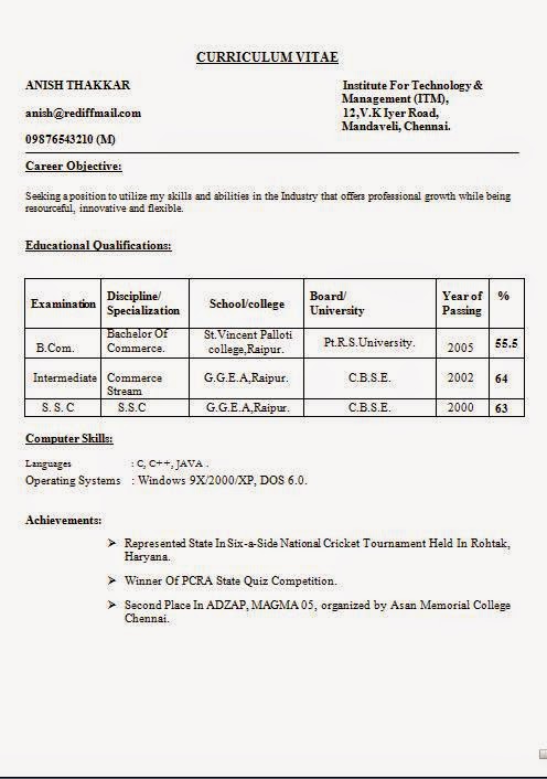 it professional cv template