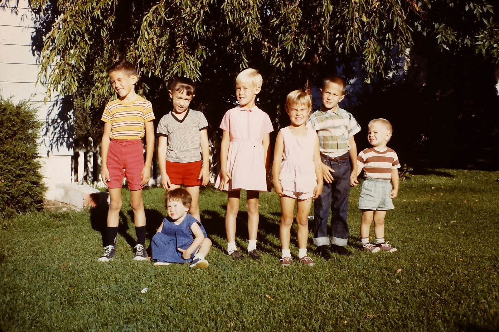 The View From The Back Deck