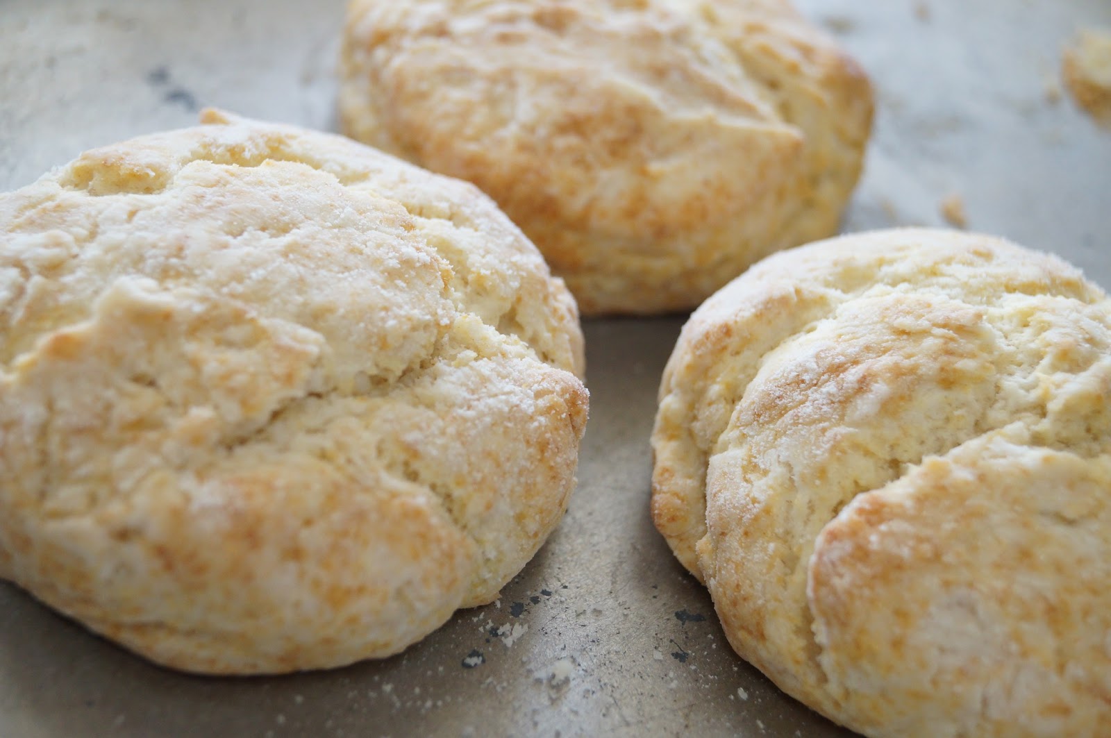 In the Kitchen with Jenny: Fluffy Biscuits