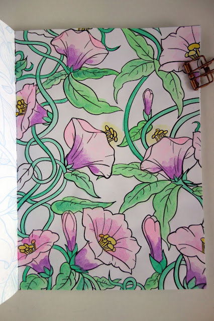 blah to TADA!: My Coloring Book