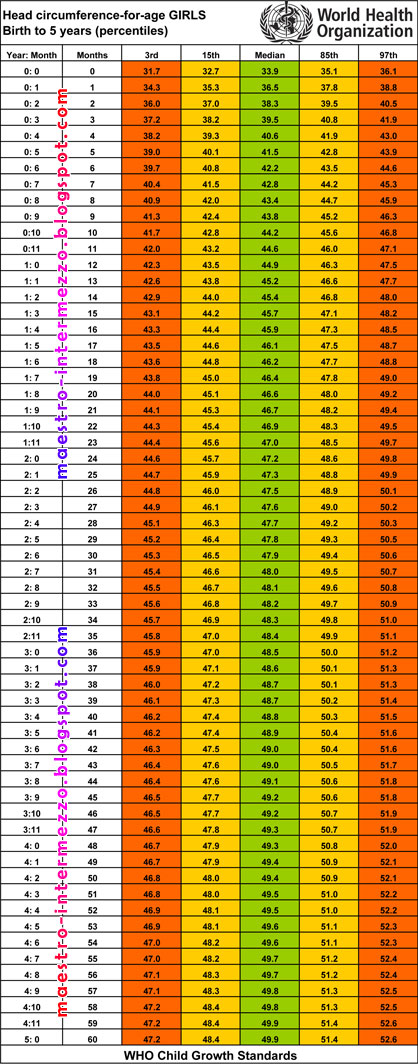 Penting Lingkar Perut Anak 1 Tahun, Model Rambut