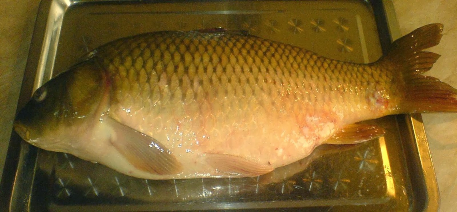 Crap la cuptor in crusta de sare | Preparatedevis.ro