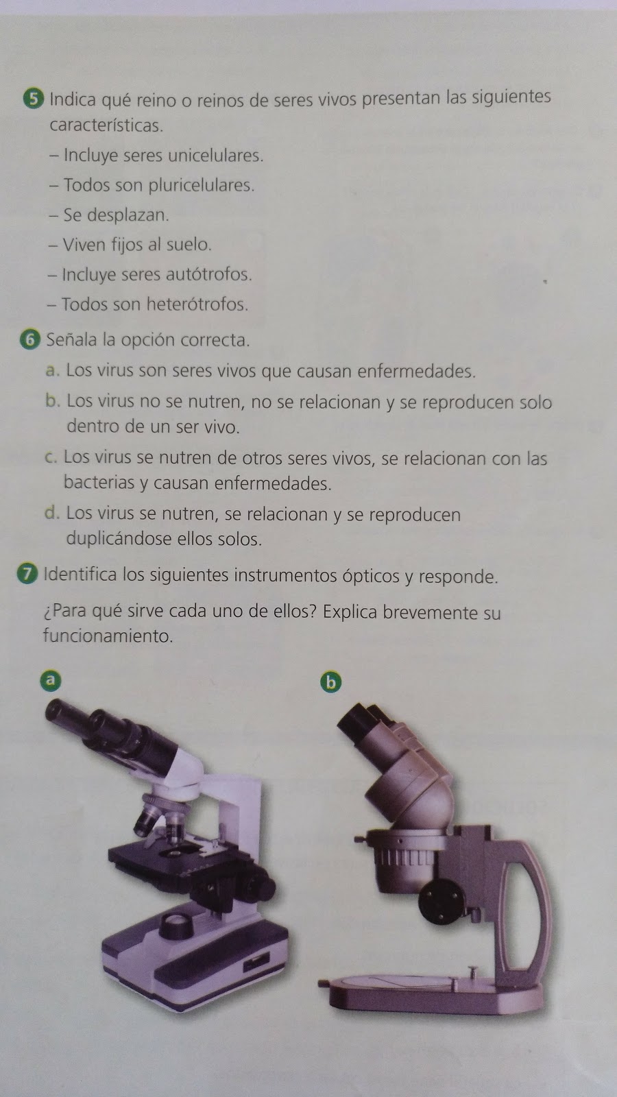 English School Repaso Unidad 1 Seres Vivos english-school-repaso-unidad-1-seres-vivos