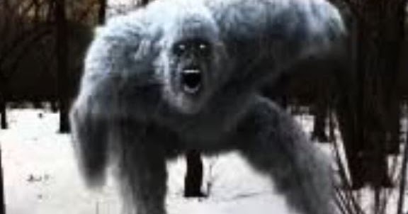 Scotland Bigfoot Leaves Tracks In Snow