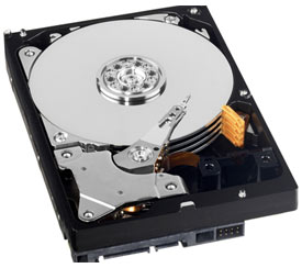 Remember When Buying a Hard Disk Drive