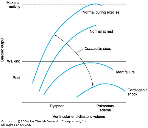Anestesi Ivan Atjeh: Fisiologi Kardiovaskular dan Anestesi