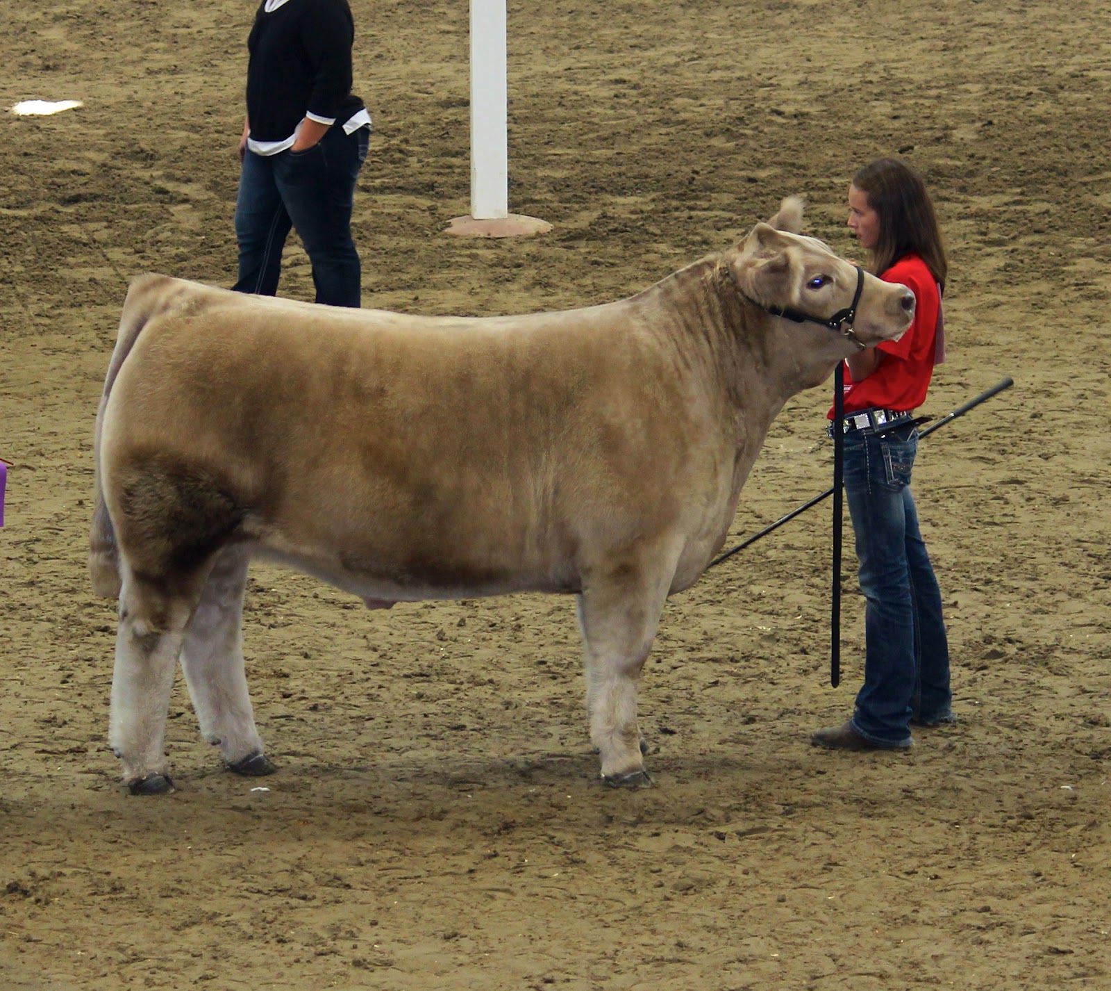 Executive Sires, Inc.: 2012 Nebraska State Fair - Division 4 - Class ...