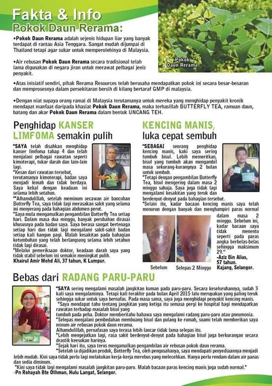 Teh Rerama - Butterfly Tea