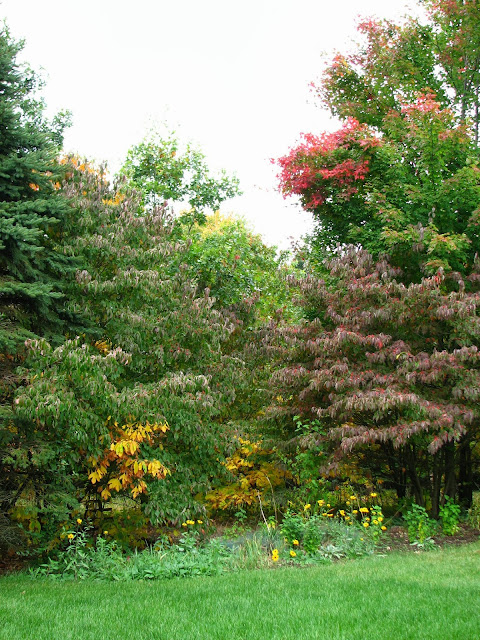 Mermaid At Frog Hollow: Tip toeing with Tootsie Oct 4th