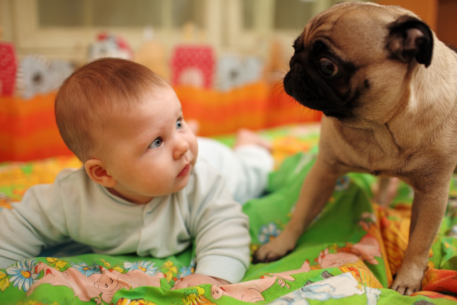 Funny Kids Pets Pictures Download | Cute Babies Pics Wallpapers
