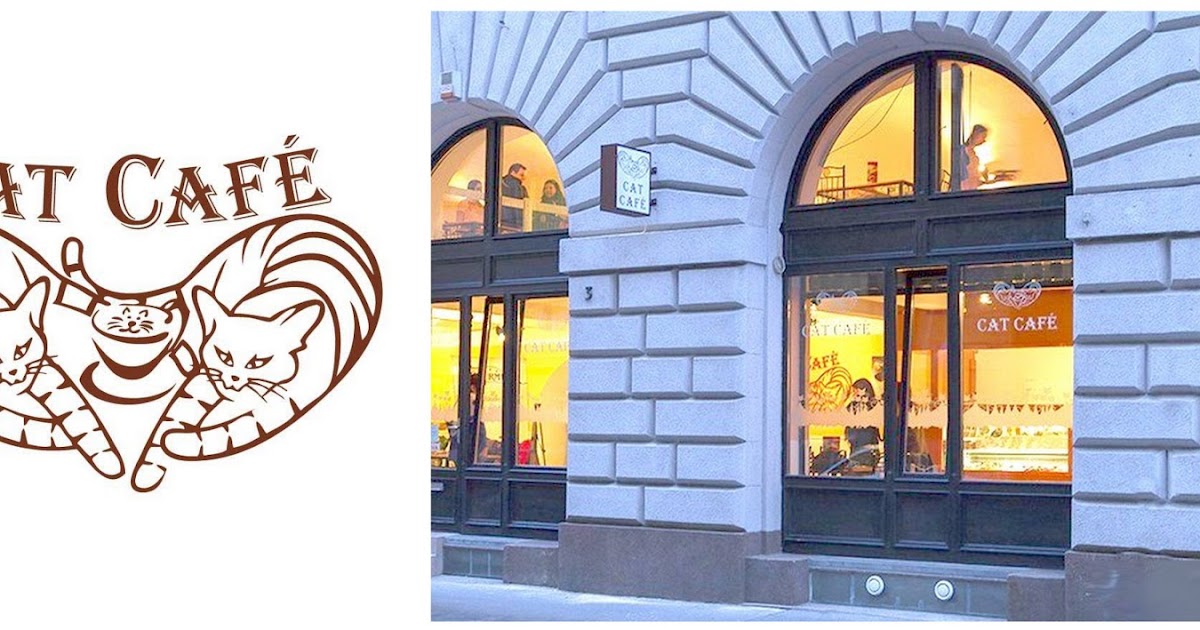 Sünis kanál: Cat Café Budapest – egy cicás nap a fővárosban