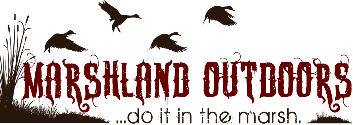 Orange Gecko Designs | Graphic Design Services by Trisha Robertson