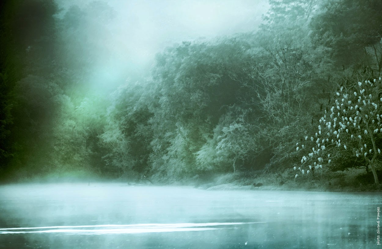 Viajar, Comer e Fotografar!: BRUMAS AO AMANHECER