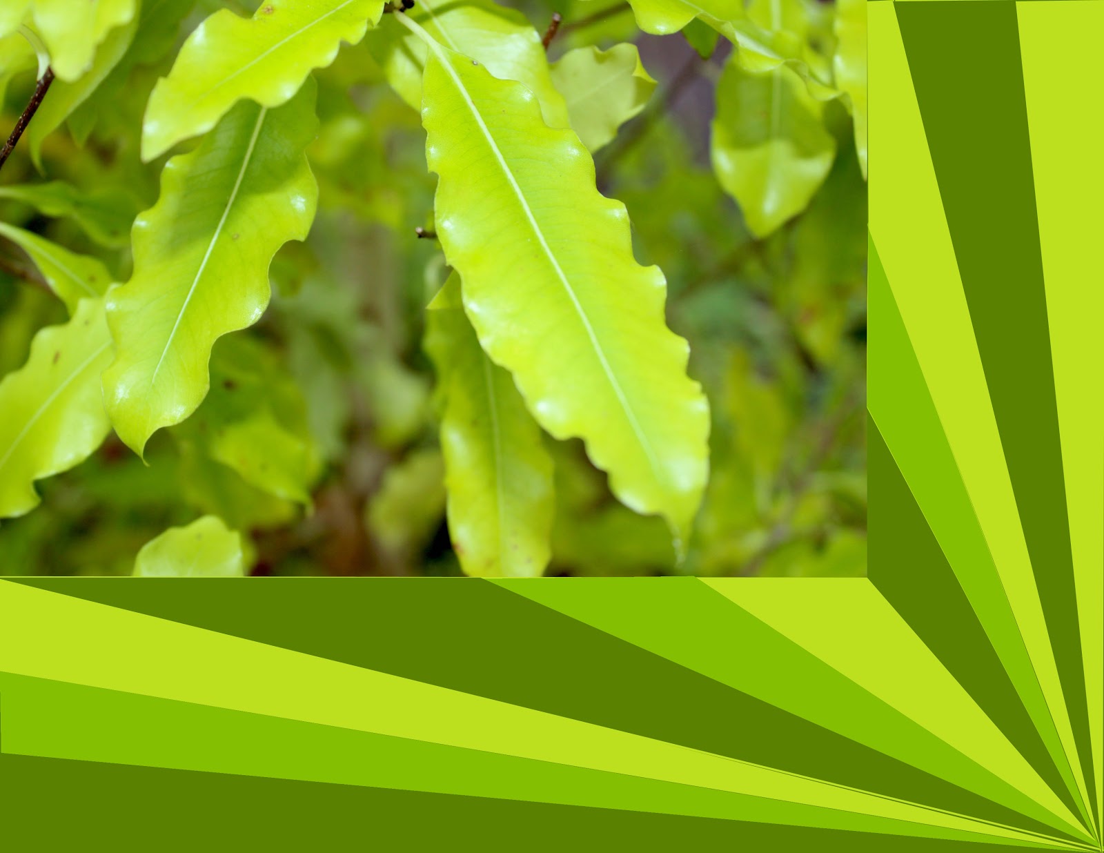 Jackson Ritter's Art Blog