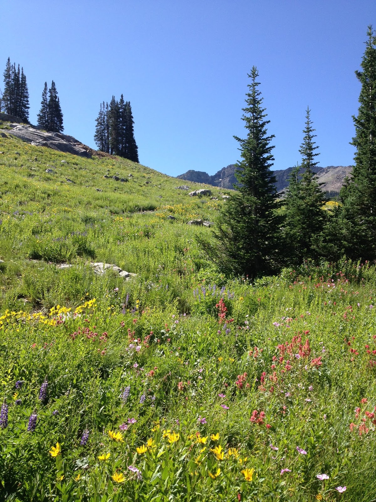 Mommy Vignettes: Albion Basin