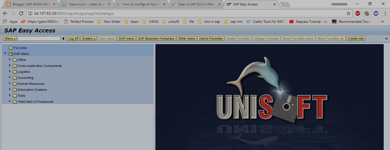 SAP BASIS MADE EASY: SAP BASIS- Browser as GUI