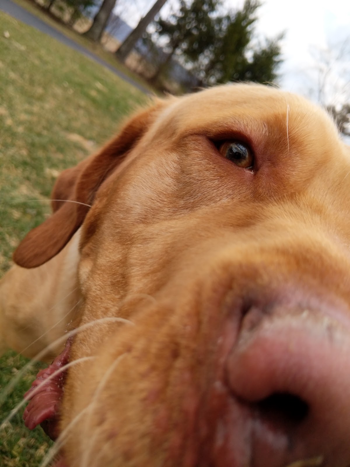 Spring Time Means Play Time spring-time-means-play-time