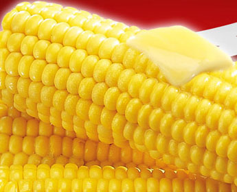 KFC Corn ~ FAST FOOD 24/7