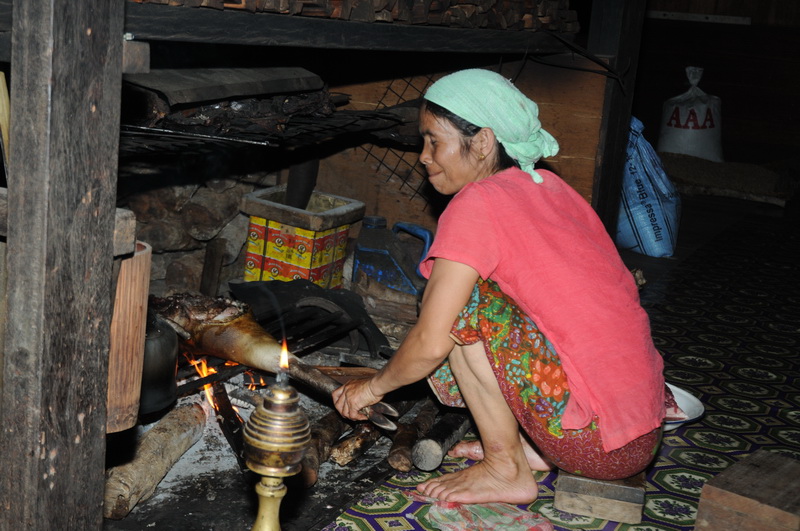 A Wandering Naturalist: Sarawak: The Forest at Long Peluan