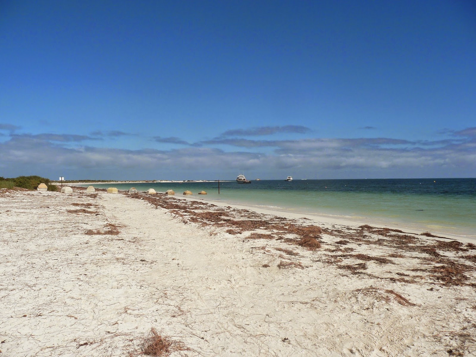 MobileMarshies: CERVANTES 2 - THE PARK, THE BEACH, THE TOWN AND FISH ...