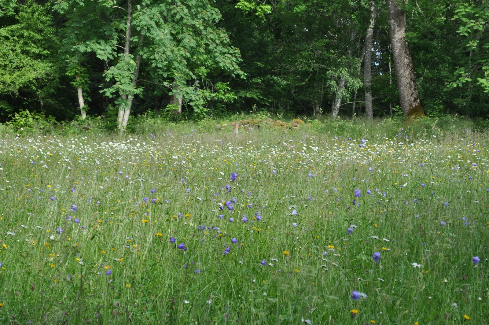 ingas-tankst-lle-juni-2011
