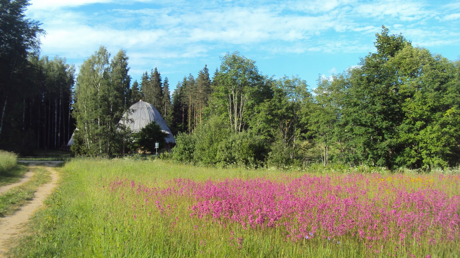 Urvaste Vallarahva Leht: Täna jaanik Pokumaal, homme Uue-Antslas