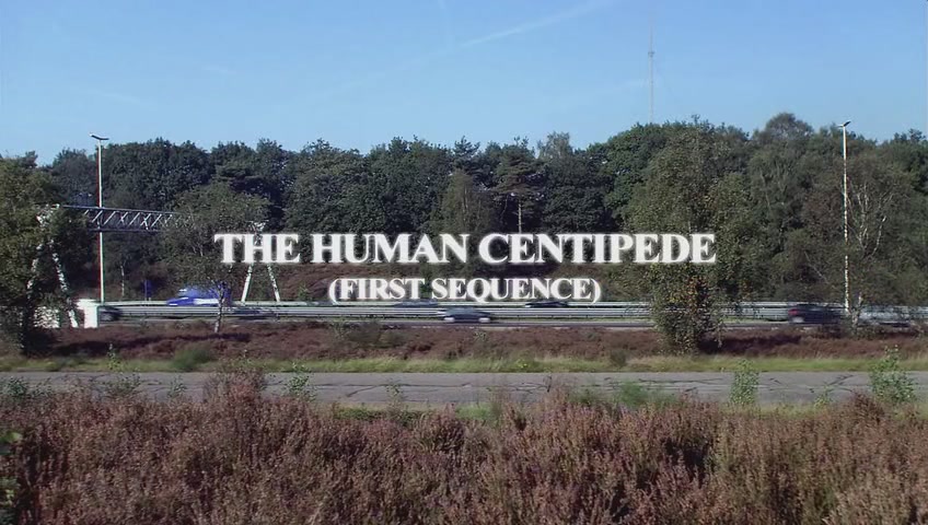 O Filme que Habito: A Centopeia Humana