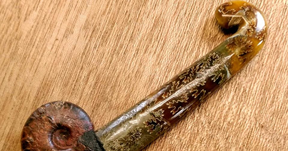 ギター製作家の視点: Fake ammonite そしてタケノココワイ